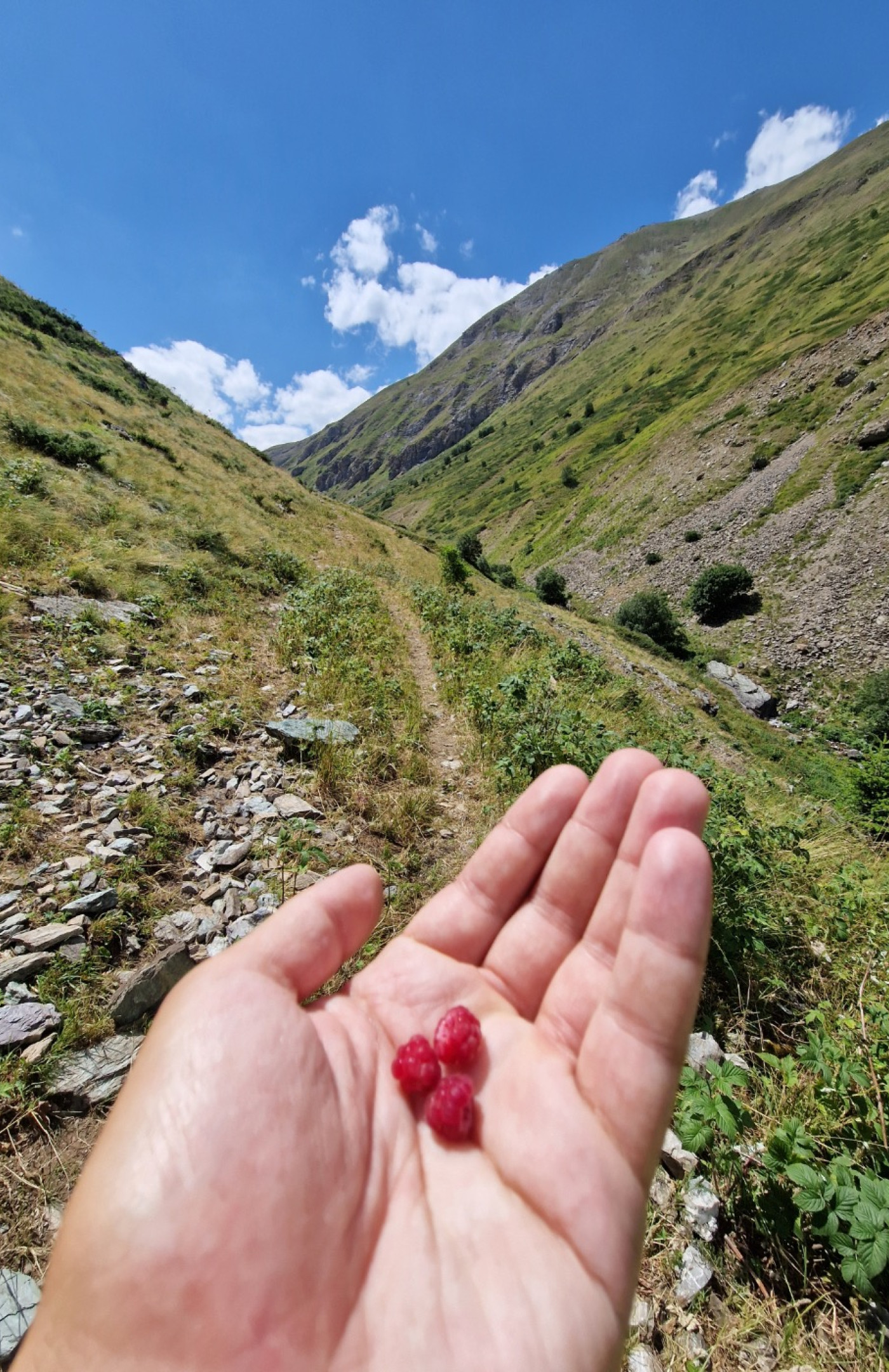 High Scardus Trail
