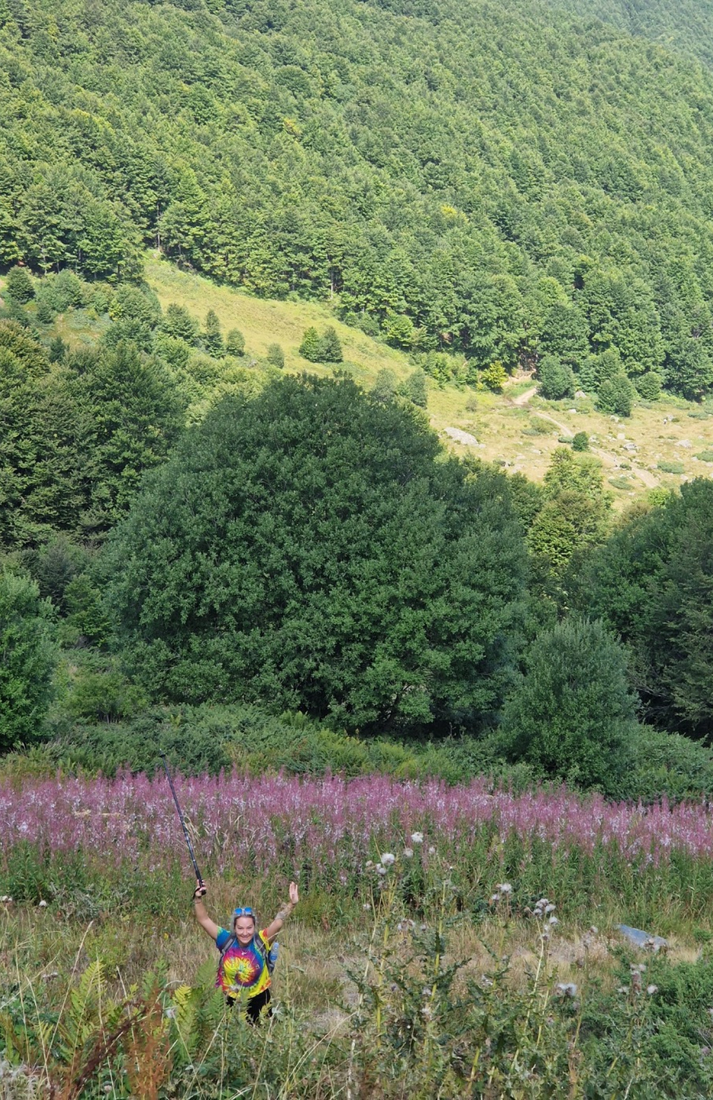 High Scardus Trail