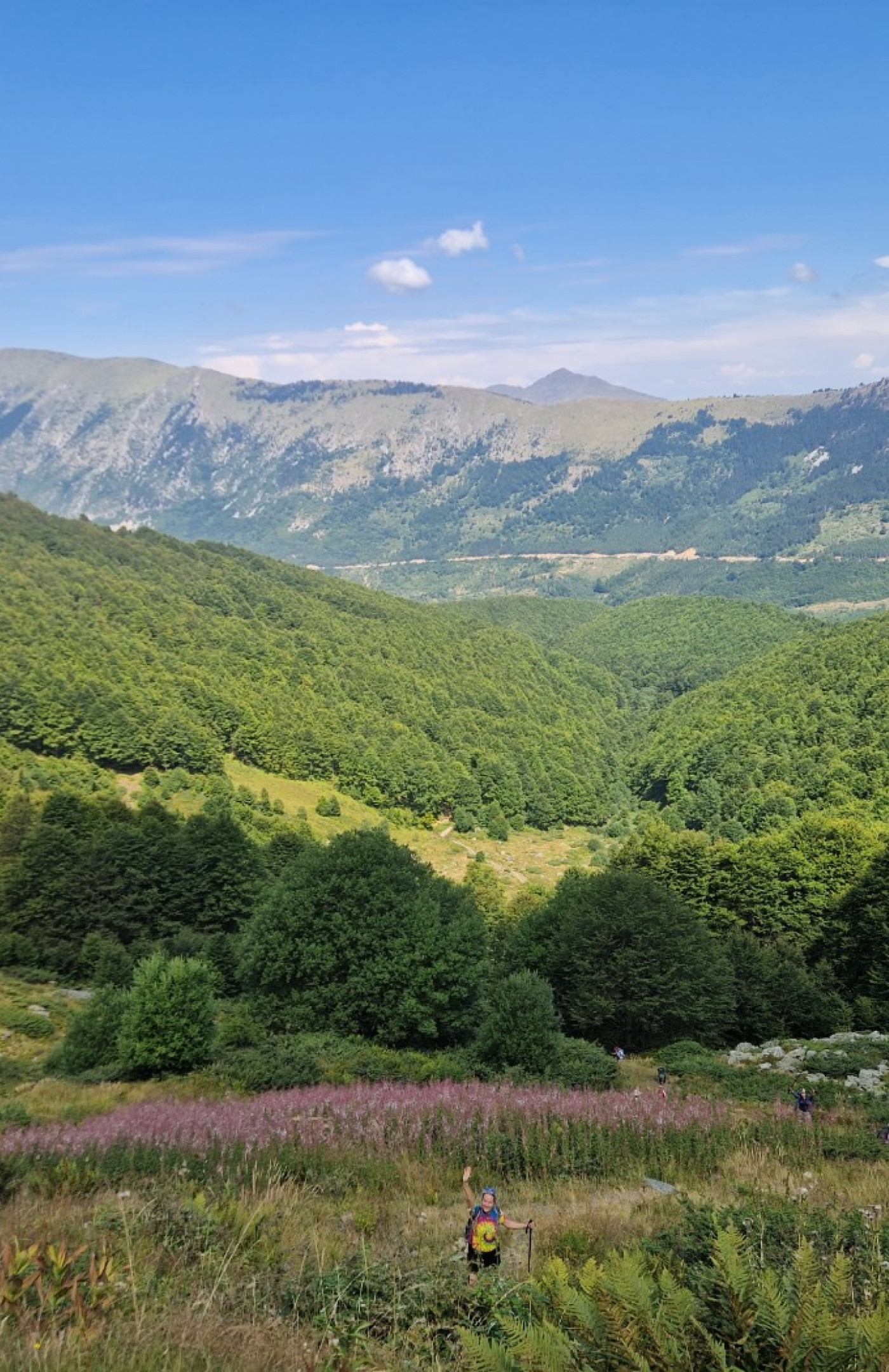 High Scardus Trail
