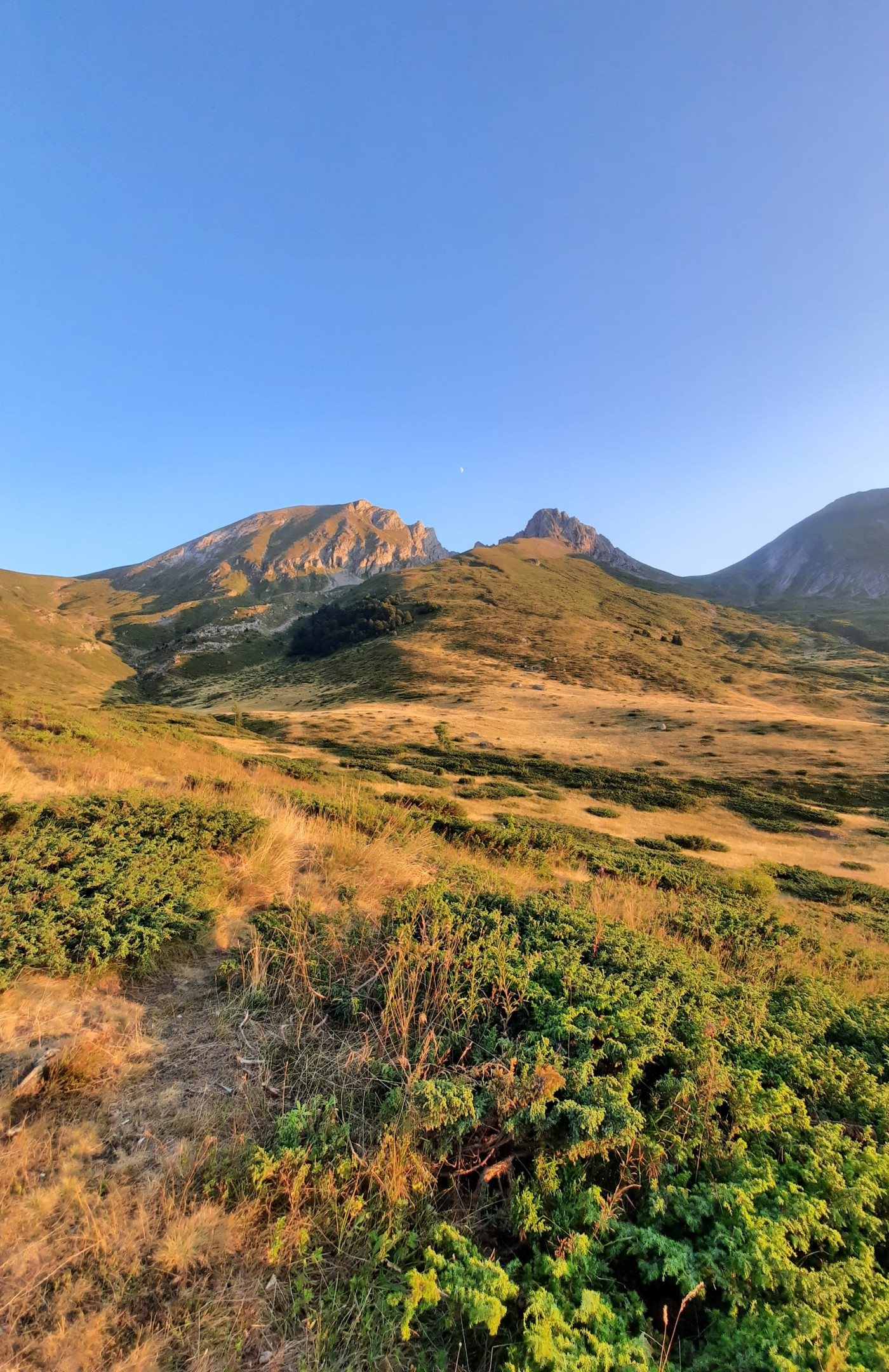 High Scardus Trail